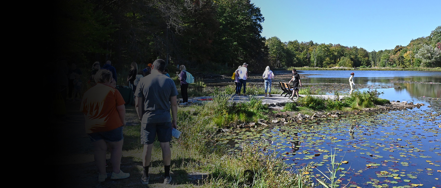 New York State Office of Mental Health